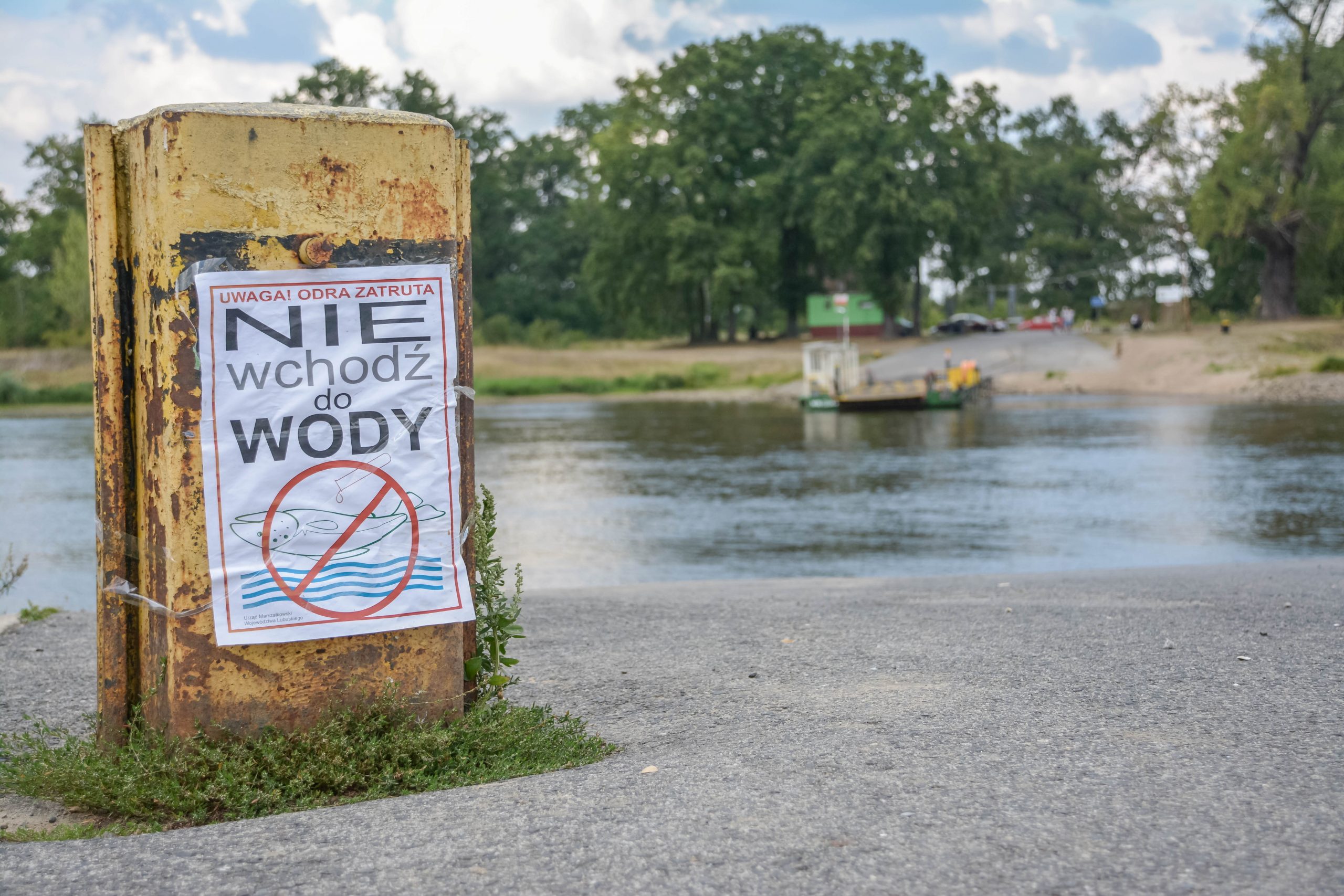 After thousands of dead fish found in Polish river, environmental ...