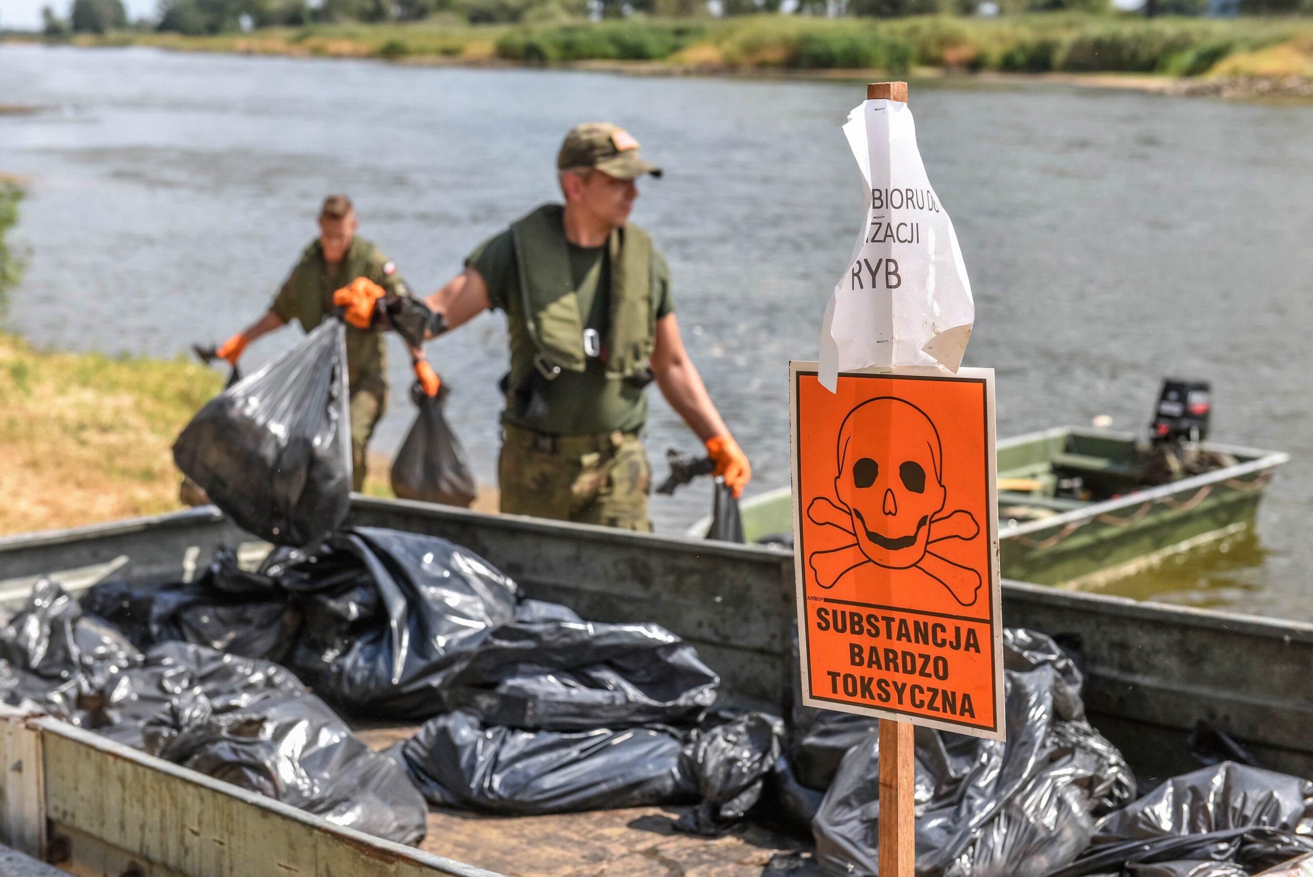 Various “overlapping factors” caused Odra river poisoning, finds Polish ...