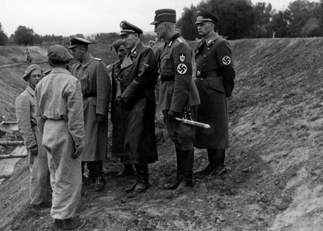 Collaboration in context: the complex legacy of Poland’s WW2 “Blue ...