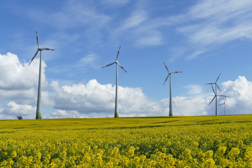 Polish government approves bill to ease building of onshore wind farms ...