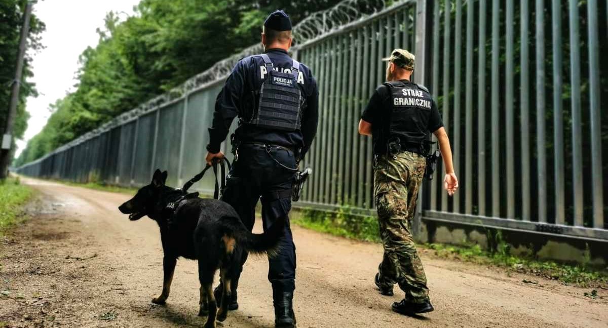 Poland extends exclusion zone on Belarus border after 64% fall in ...
