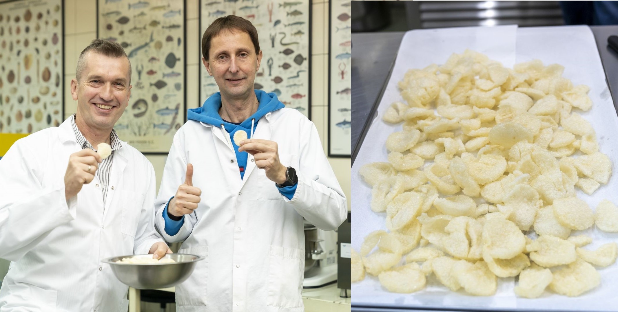 Polish scientists create carp crisps | Notes From Poland