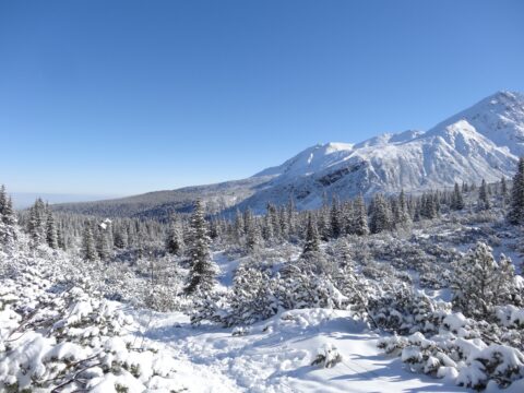 New record low temperature of -41.1°C observed in Poland | Notes From ...