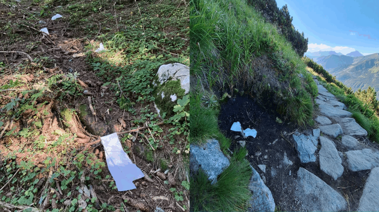 Polish national park offers free poop bags for hikers to tackle “faecal ...