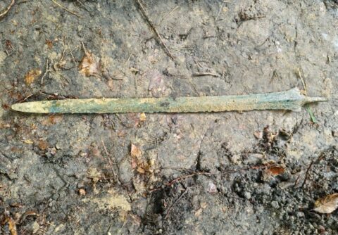 Detectorist finds 2,700-year-old Bronze Age sword in Poland | Notes ...